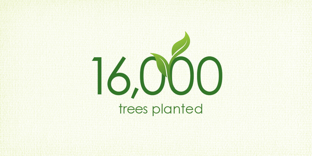 How planting trees helps people